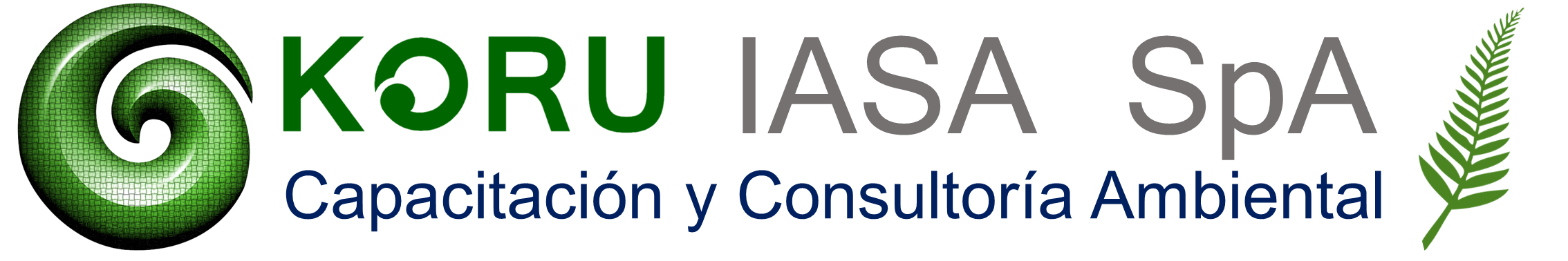 Servicios - KORU IASA SpA